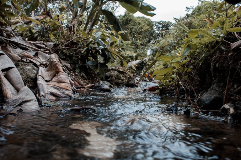 El río Almendares, de punta a cabo - Periodismo de Barrio