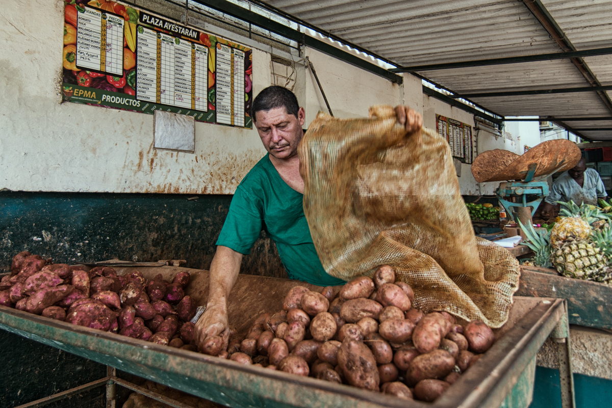 La crisis de la papa en Cuba, explicada - Periodismo de Barrio