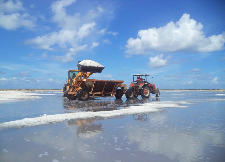 Salinas cubanas, tradición y sostenibilidad - Periodismo de Barrio